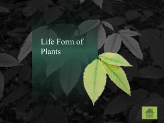 Life form of plants | PPTX