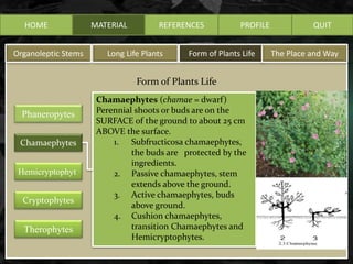 Life form of plants | PPT