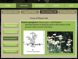 Life form of plants | PPTX