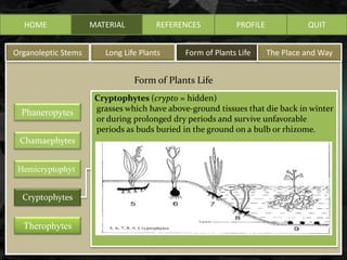 Life form of plants | PPTX