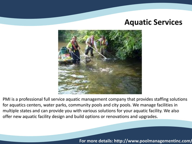Lifeguards | PPT