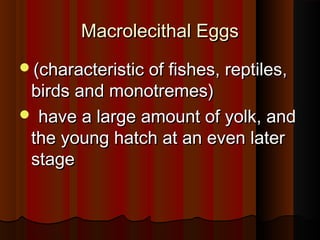 Lifehistoryandembryogenesis(revised) | PPT
