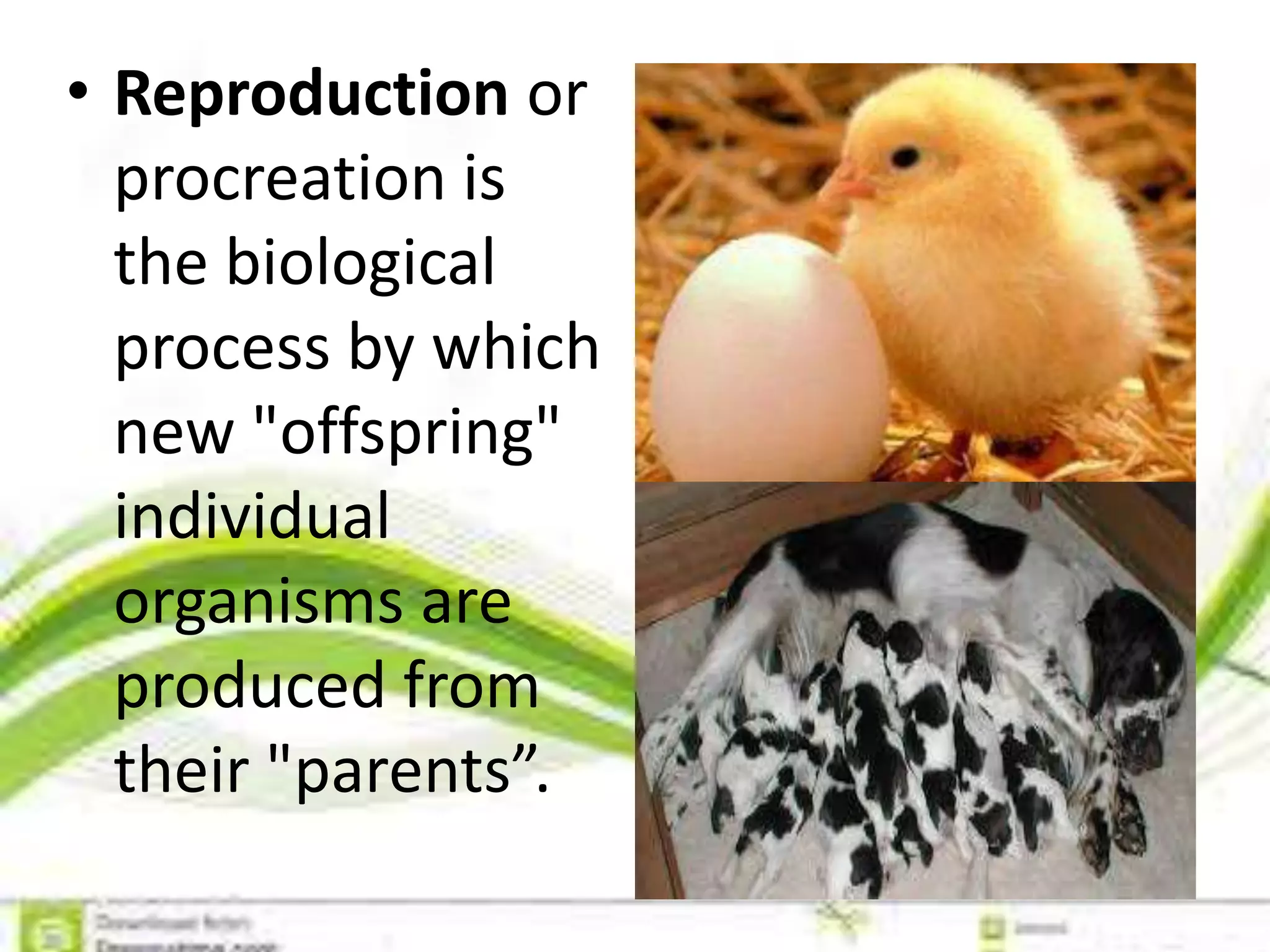 Life history and the cost of reproduction | PPTX