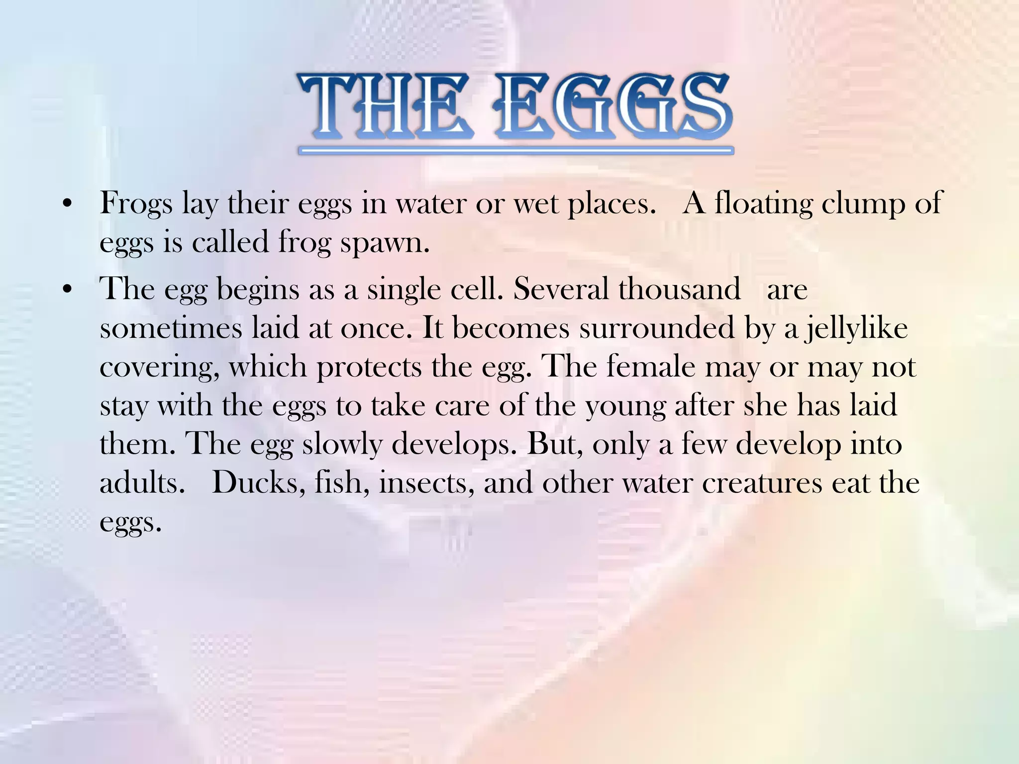 Life history of frog | PPT | Fish and Aquariums | Pets