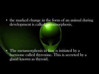 Life history of frog | PPT | Fish and Aquariums | Pets