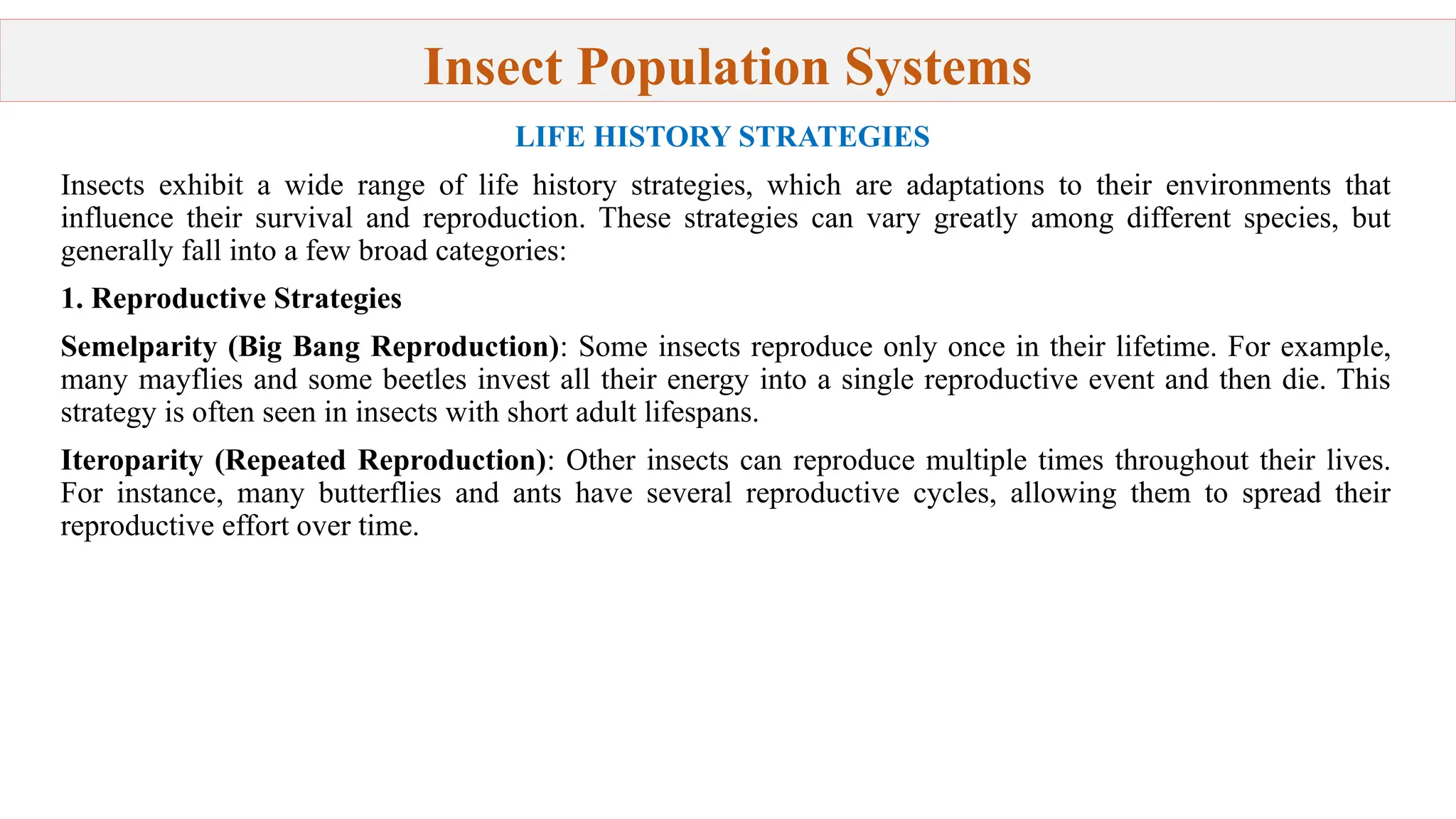 Life History Strategies of insects .pptx