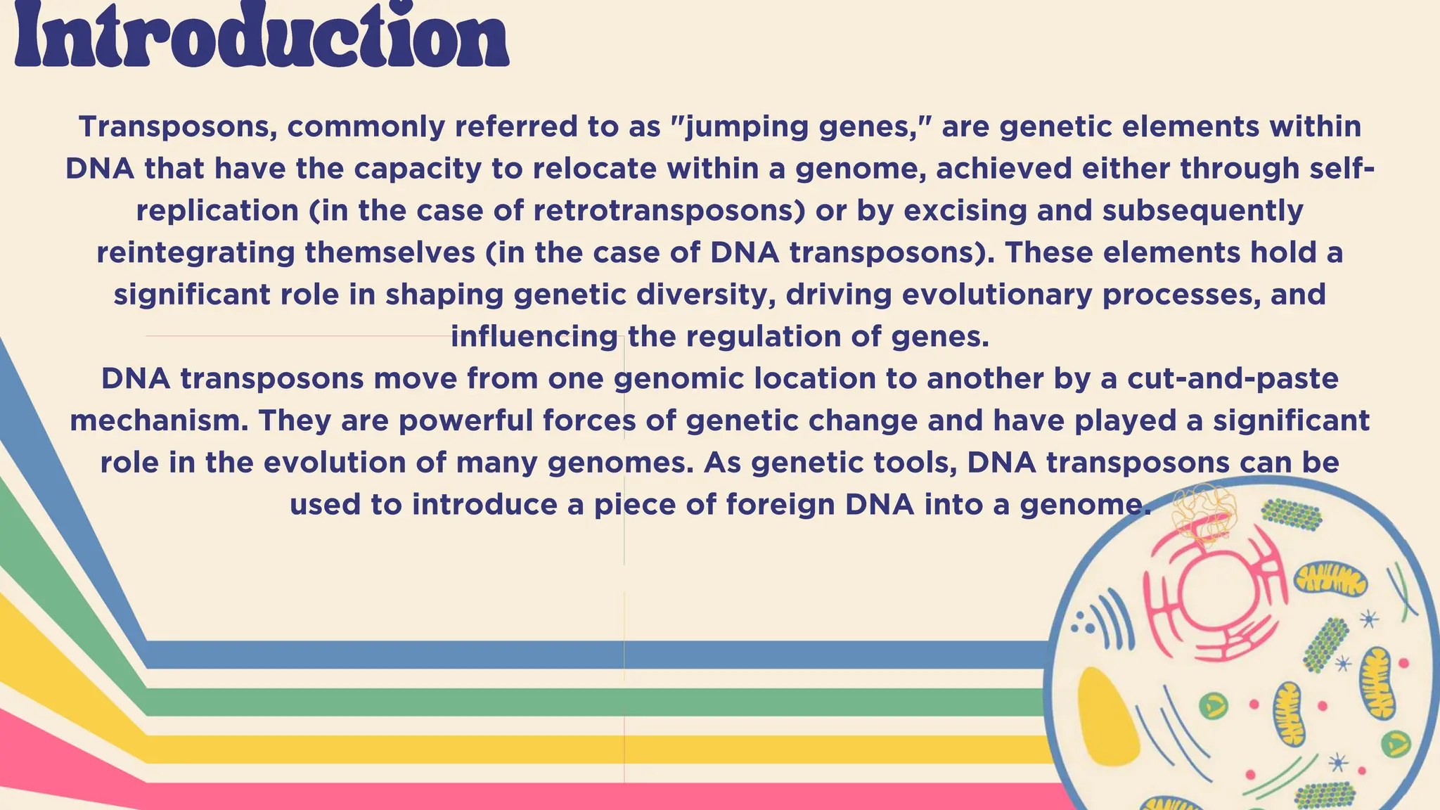 Life in four letters (2).pptx