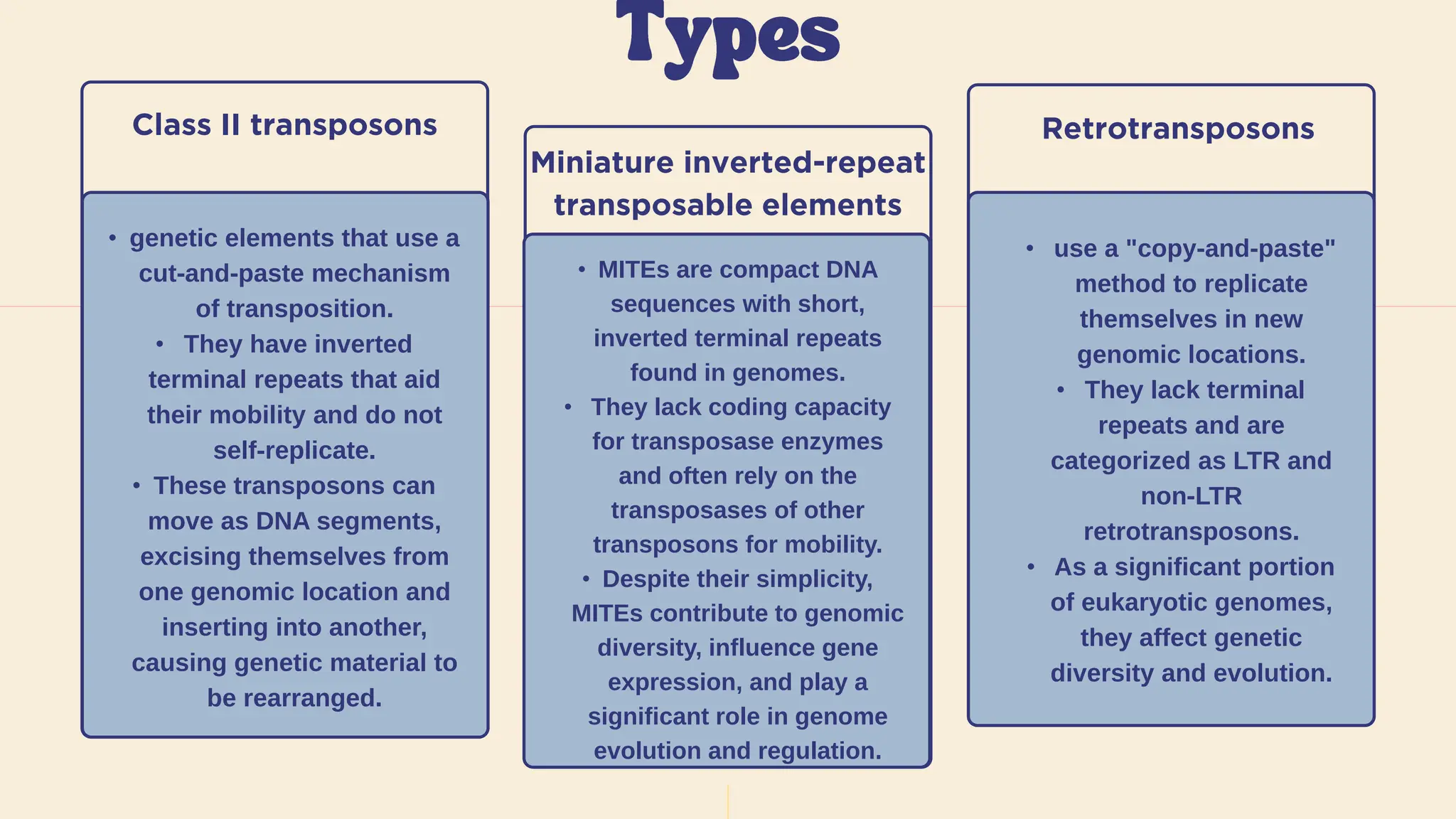 Life in four letters (2).pptx