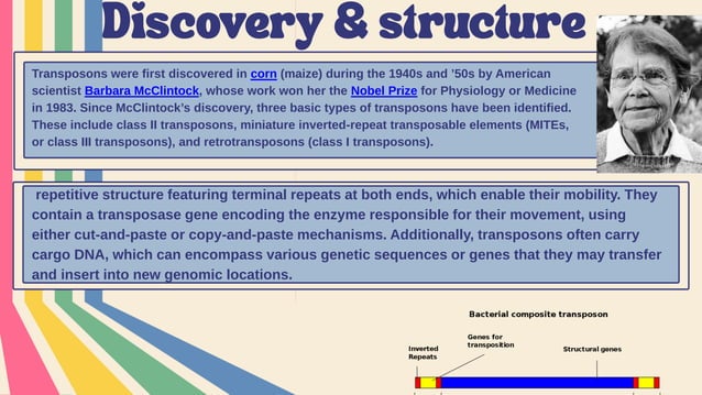 Life in four letters (2).pptx