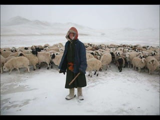 Life in Mongolia- Photographer Karl Schuler | PPSX
