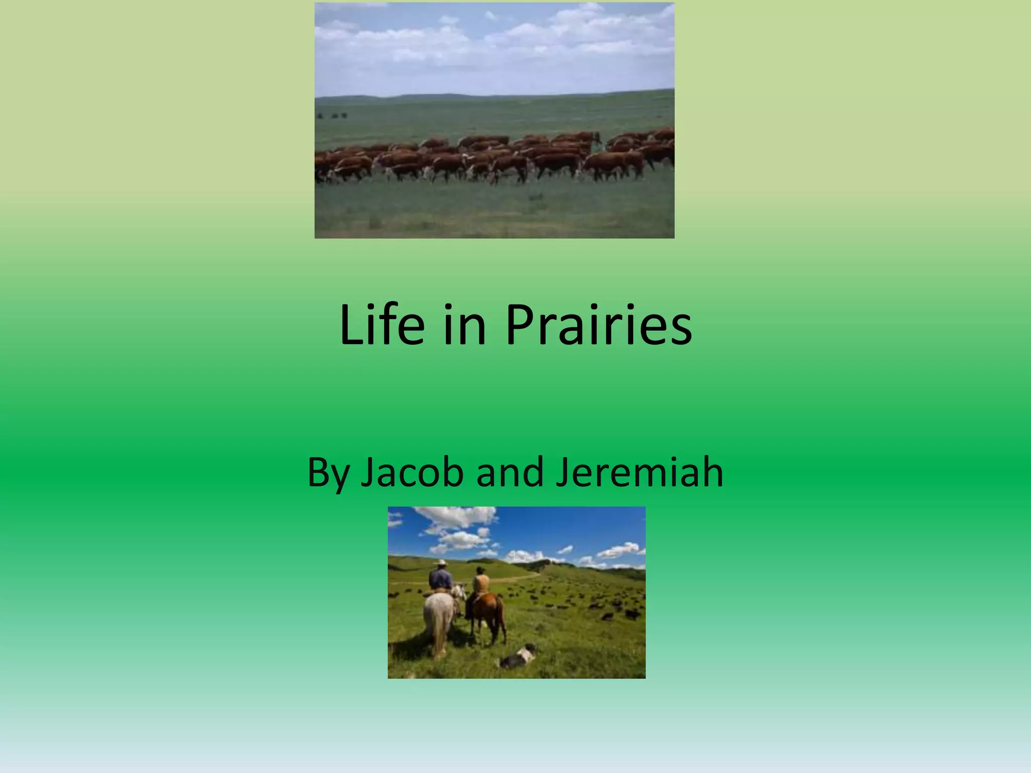 Life in prairies jacob & jeremiah | PPTX
