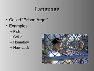 Life in Prison | PPT