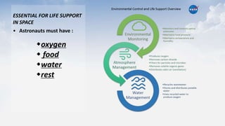LIFE IN SPACE.pptx