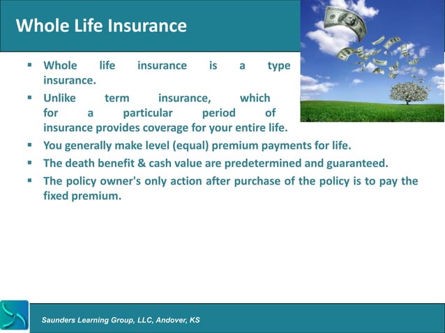 Life insurance basics | PPTX