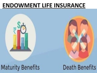 LIFE INSURANCE PRODUCTS | PPT