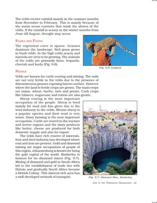 Life in temperate grasslands | PDF