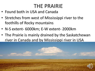 Life in temperate grasslands | PPTX