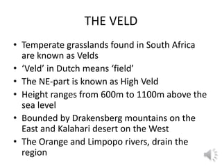Life in temperate grasslands | PPTX