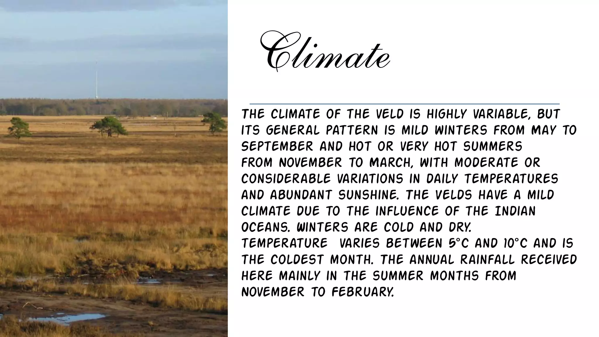 Life in temperate region | PPTX