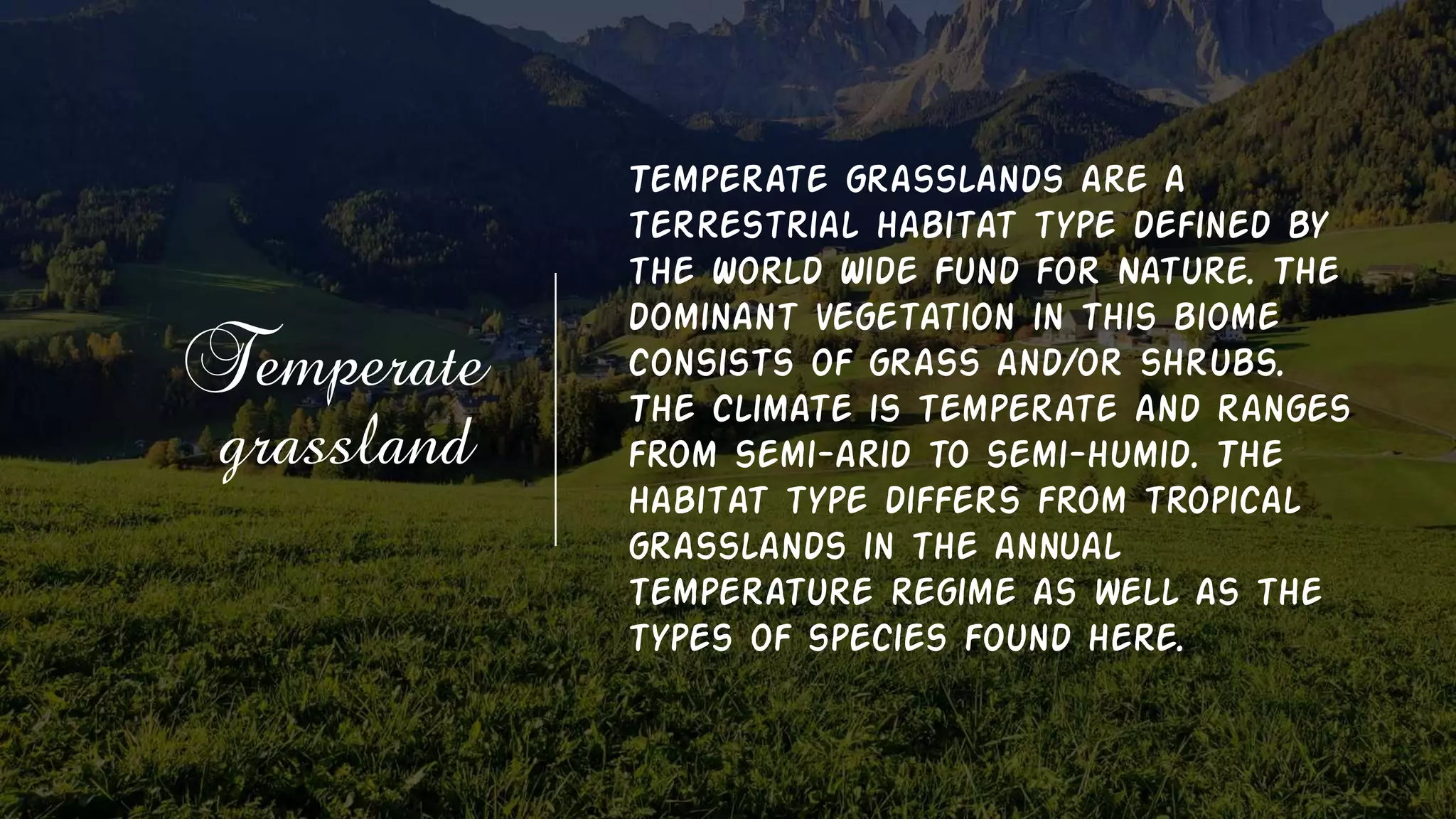 Life in temperate region | PPTX