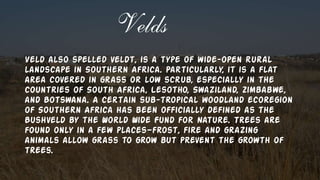 Life in temperate region | PPTX