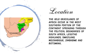 Life in temperate region | PPTX