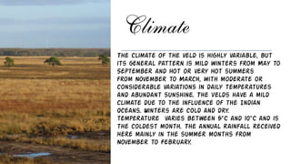 Life in temperate region | PPTX