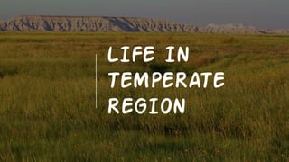 Life in temperate region | PPTX