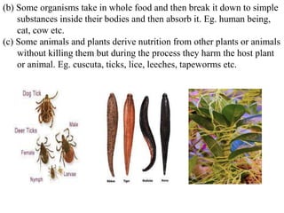 Life internal secrets | PPTX | Biological Sciences | Science