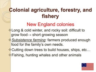 Life in the 13 colonies | PPTX