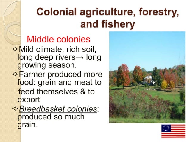 Life in the 13 colonies | PPTX