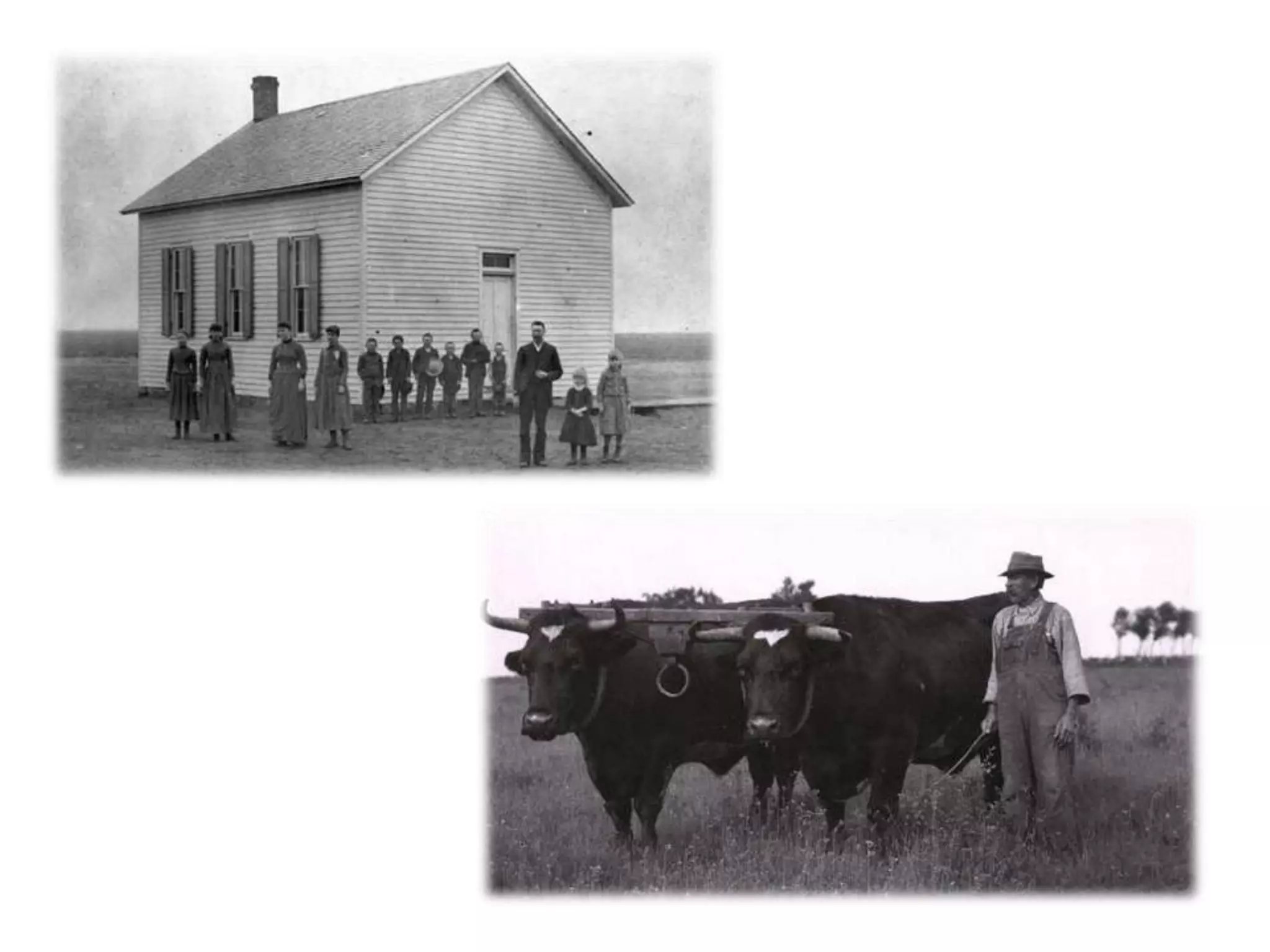 Life in the 1800s | PPTX