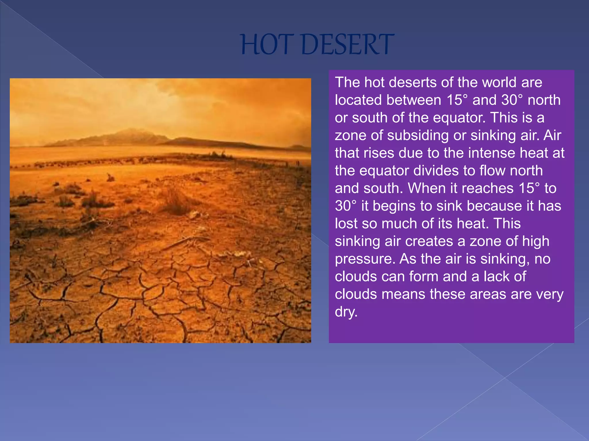 Life in the desert | PPTX