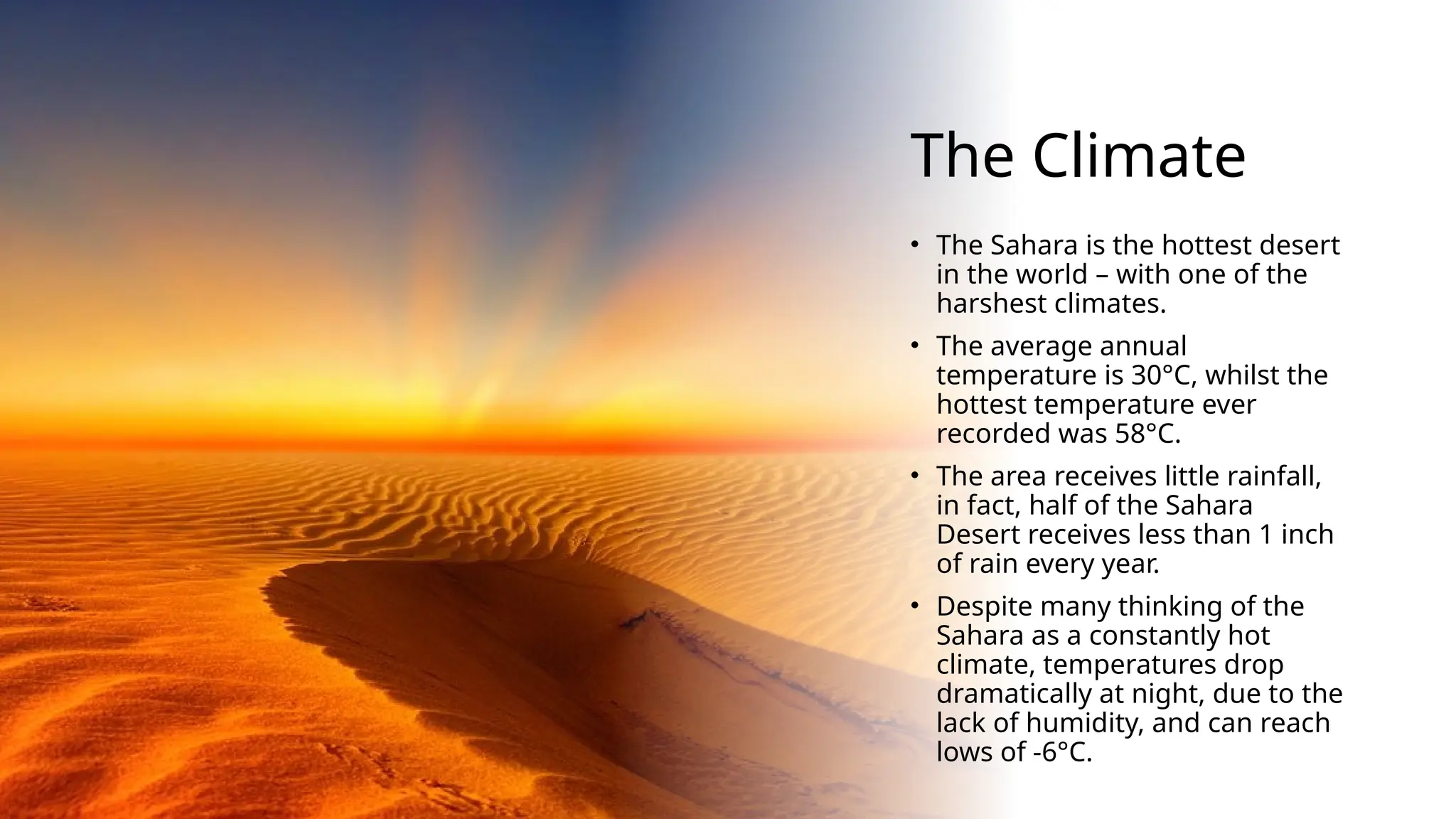 Life in the deserts for kids in 6th grade | PPTX