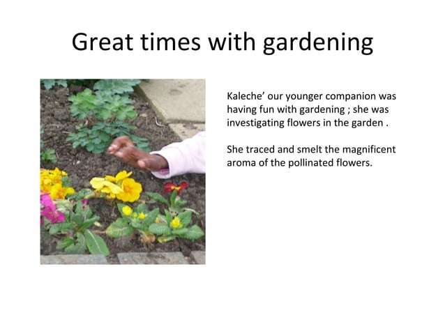 Life in the garden | PPT