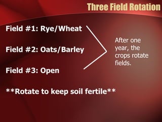 Life In The Middle Ages | PPT