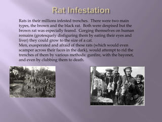 Life in the trenches | PPTX