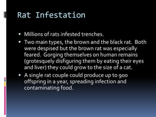 Life in the trenches | PPTX