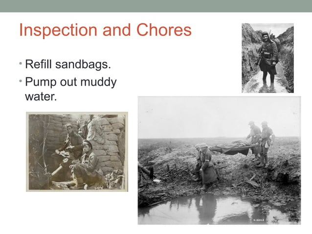 Life in the trenches | PPT