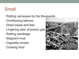 Life in the trenches | PPT