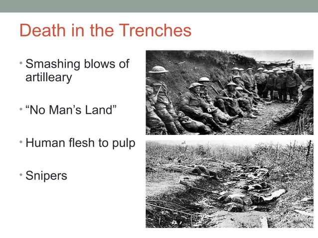 Life in the trenches | PPT