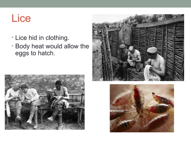 Life in the trenches | PPT