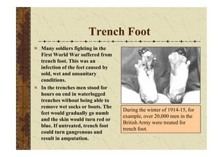 Life in the Trenches World War 1 Year 11 | PDF
