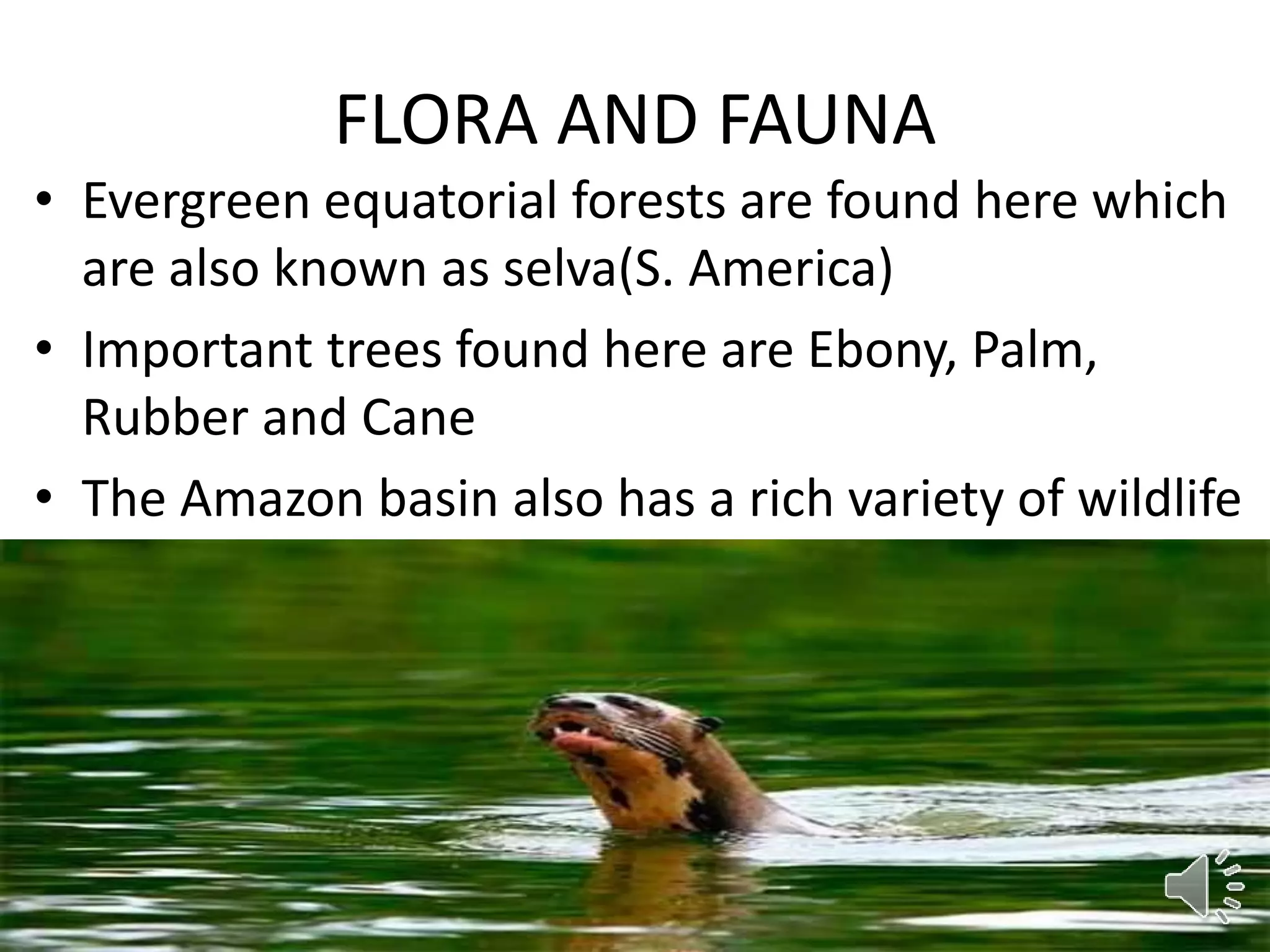 Life in tropical and sub tropical regions | PPTX