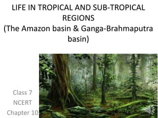 Life in Tropical Regions: Amazon Basin and Ganga-Brahmaputra | PPT
