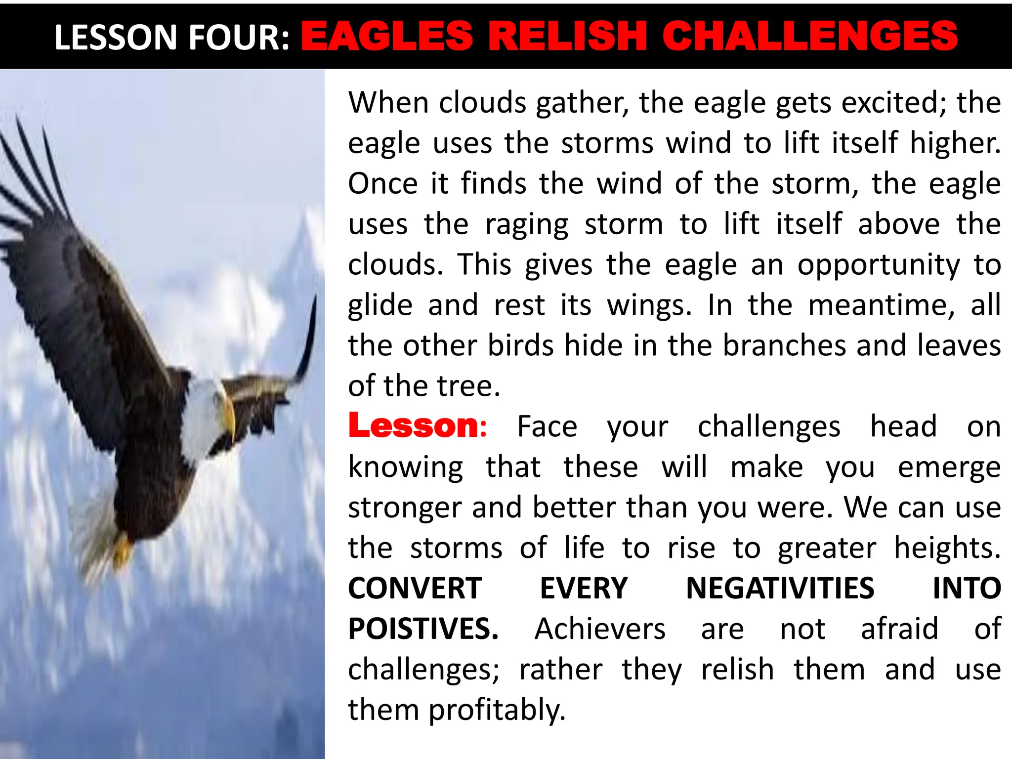 LIFE LESSONS FROM EAGLES for personal development | PDF