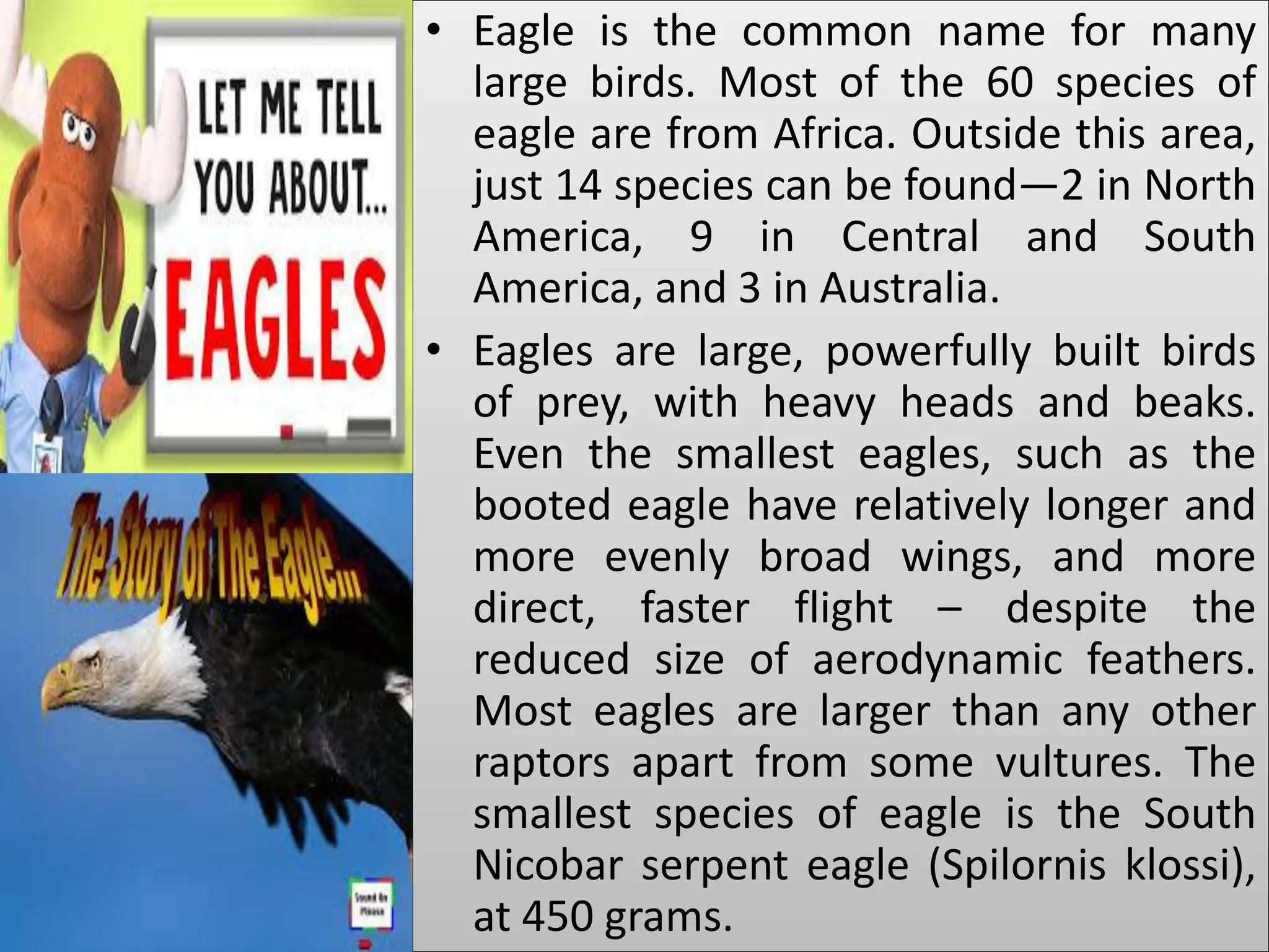 LIFE LESSONS FROM EAGLES for personal development | PDF