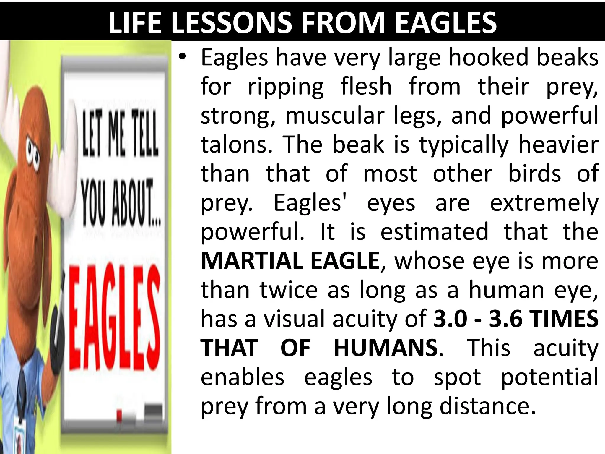 LIFE LESSONS FROM EAGLES for personal development | PDF