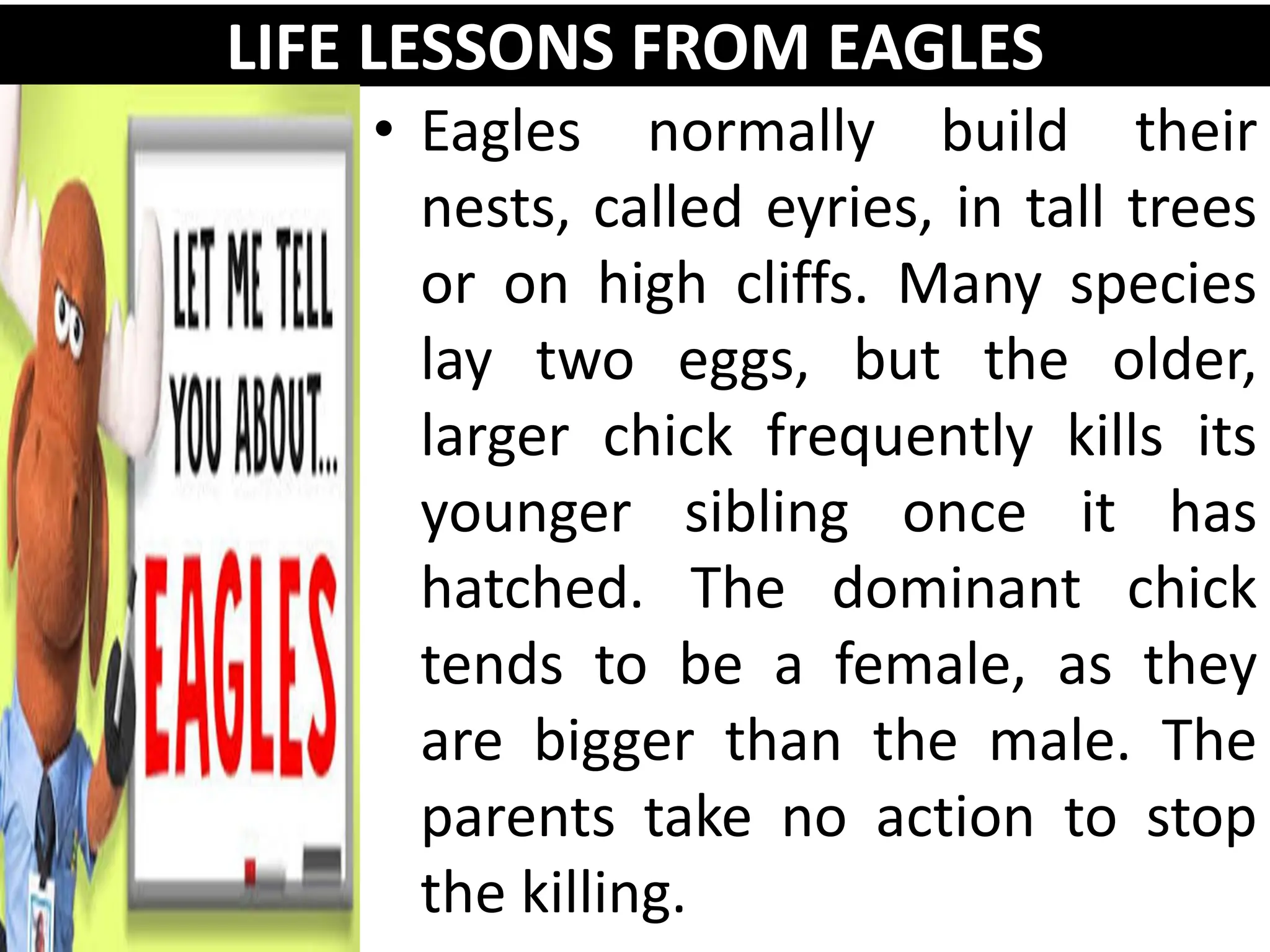 LIFE LESSONS FROM EAGLES for personal development | PDF