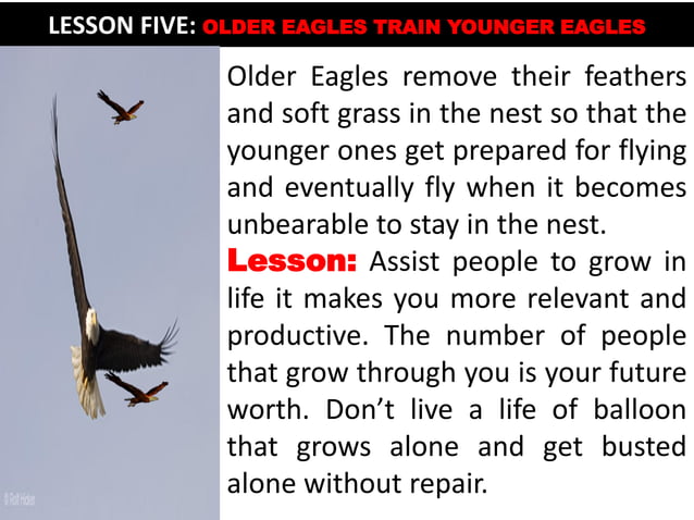 LIFE LESSONS FROM EAGLES for personal development | PPT